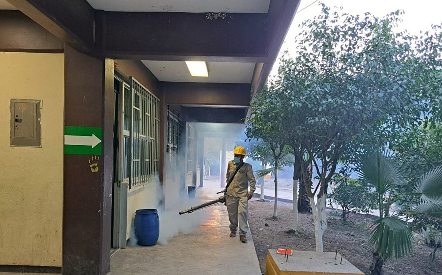 Refuerzan acciones de control larvario contra el mosco transmisor del ...